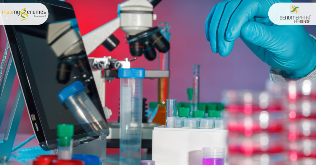 An Introduction to Genetic Ancestry Testing – Mapmygenome